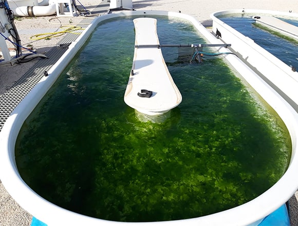 ESOPP - Beyond Standards