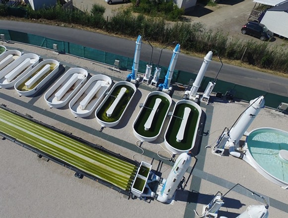 ESOPP - Beyond Standards